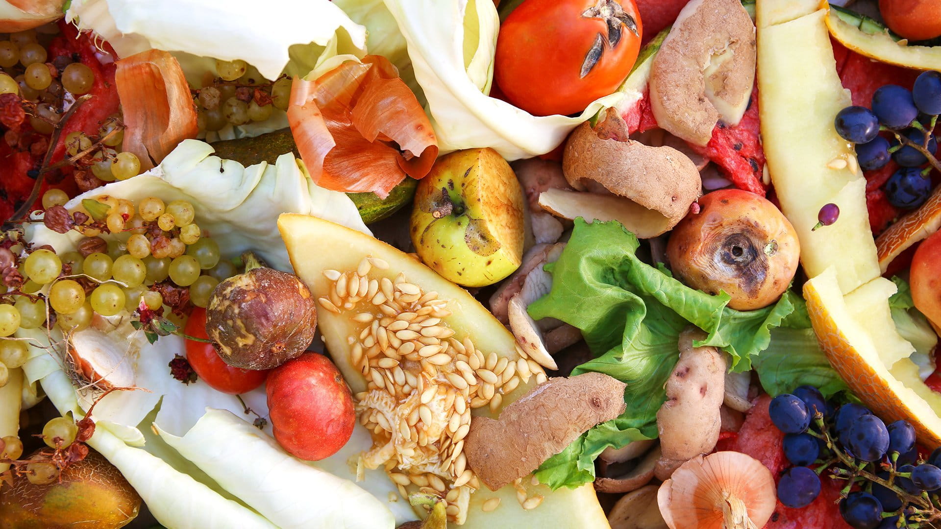 Bedrijfsafval - Swill en organisch afval - Irado